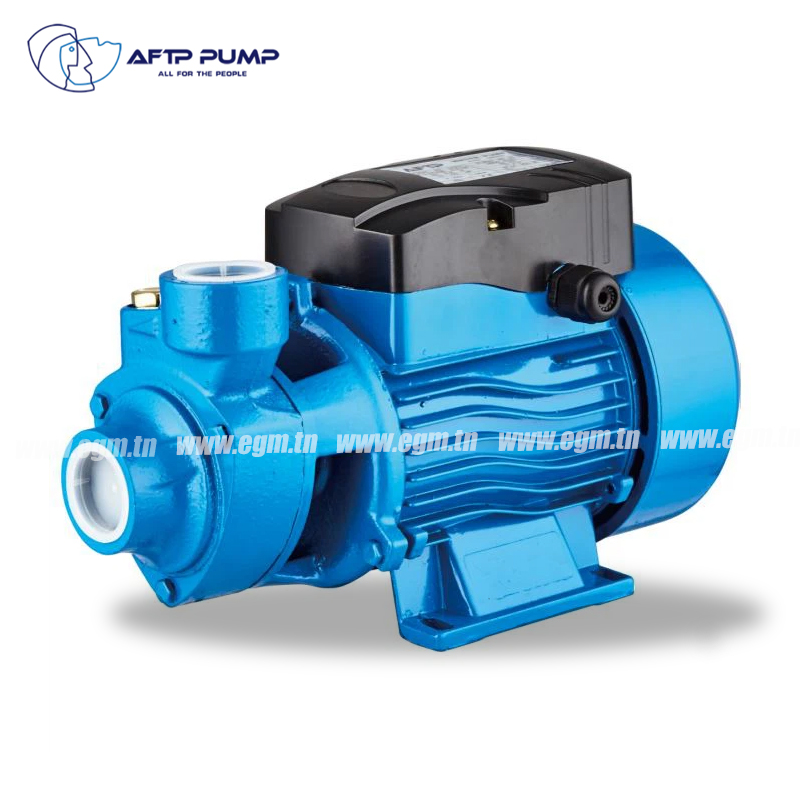 MOTO POMPE 0.50 HP 220V BLEU AFTP PUMP | EGM